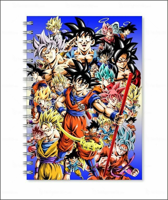 Тетрадь Жемчуг Дракона, Dragon Ball №13, А6