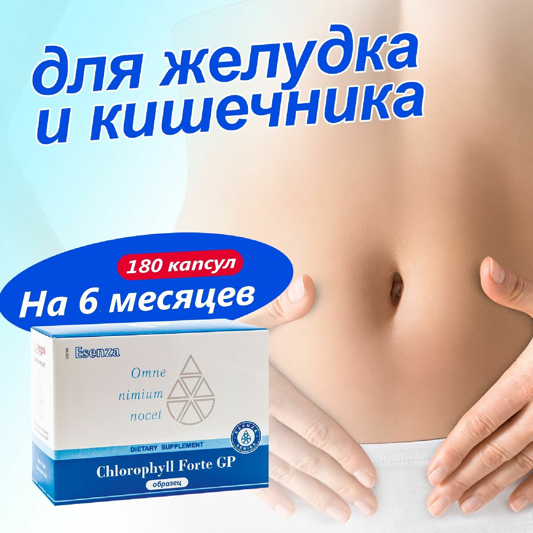 Хлорофилл и пробиотик для желудка и кишечника, Chlorophyll Forte Santegra Хлорофилл Форте Сантегра на 6 месяцев