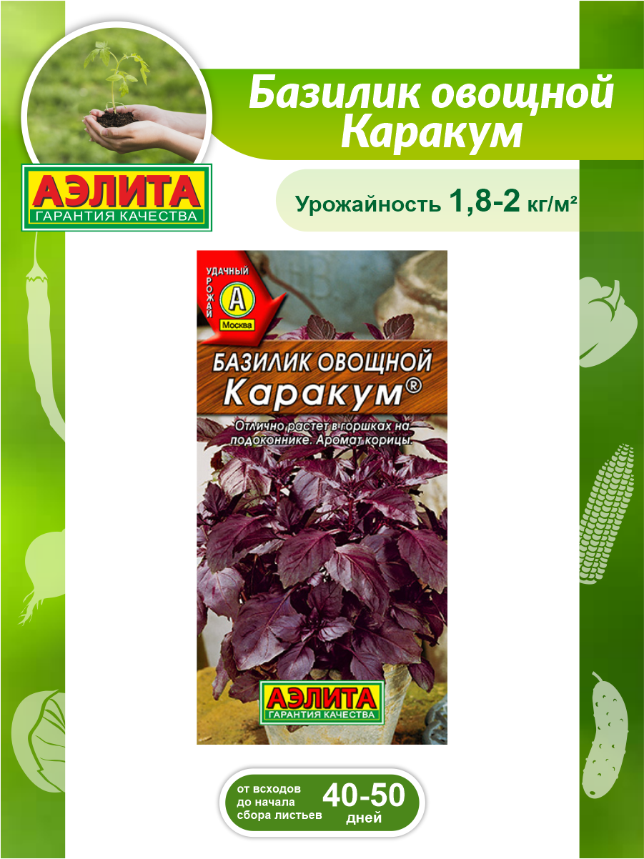 Семена Базилик овощной Каракум 0,3 гр.