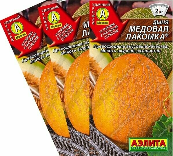 Дыня Медовая лакомка ( 3 упаковки семян )