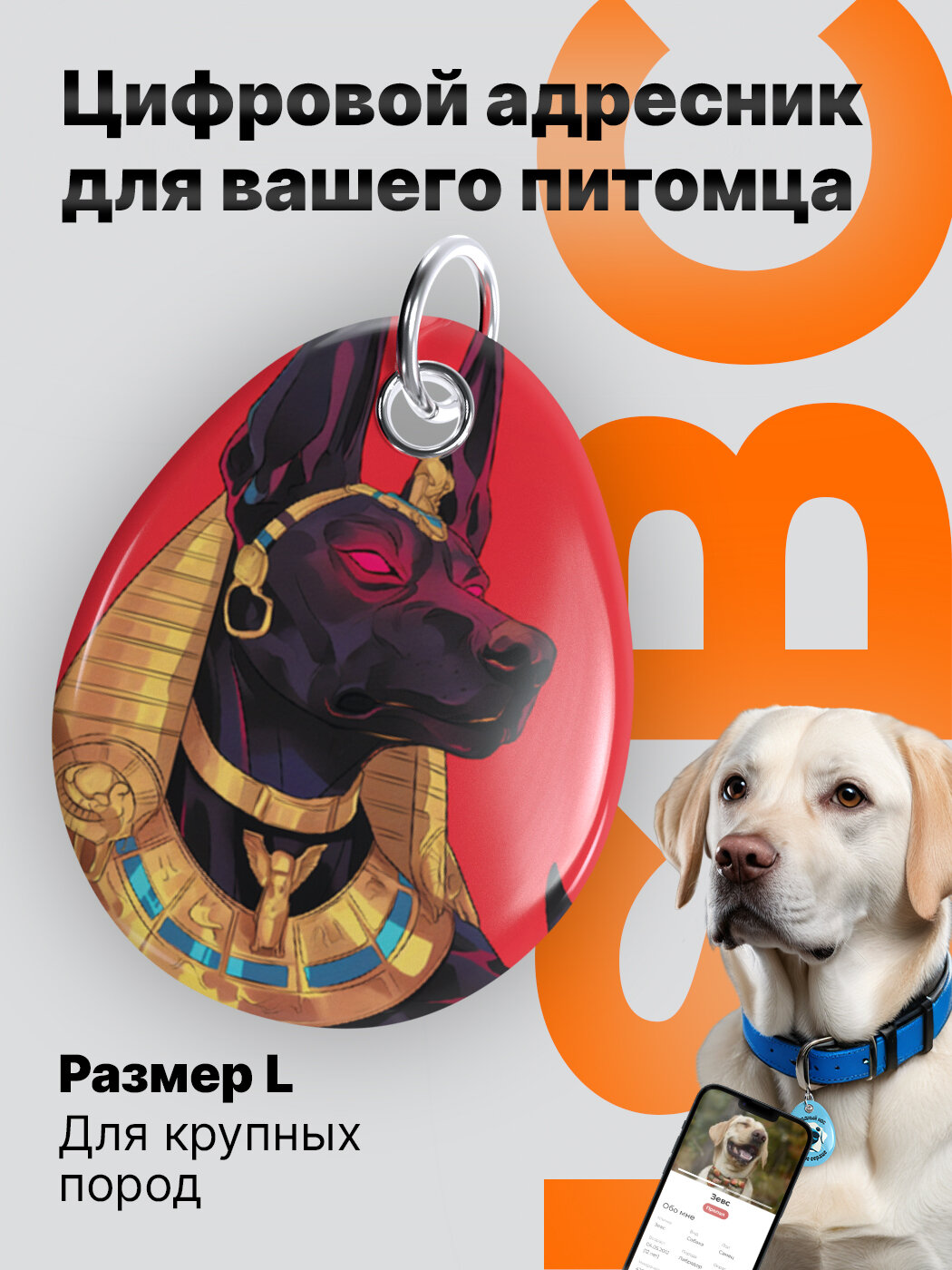 Адресник для собак средних и крупных пород от ISBC с NFC и QR-кодом, Анубис