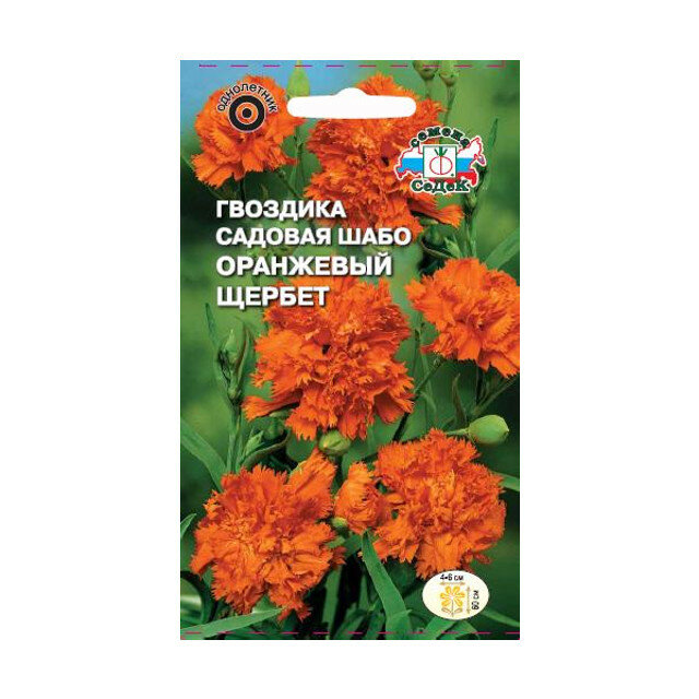 Гвоздика Оранжевый щербет Шабо - семена гвоздики, сорт Шабо, 0,1 г для выращивания