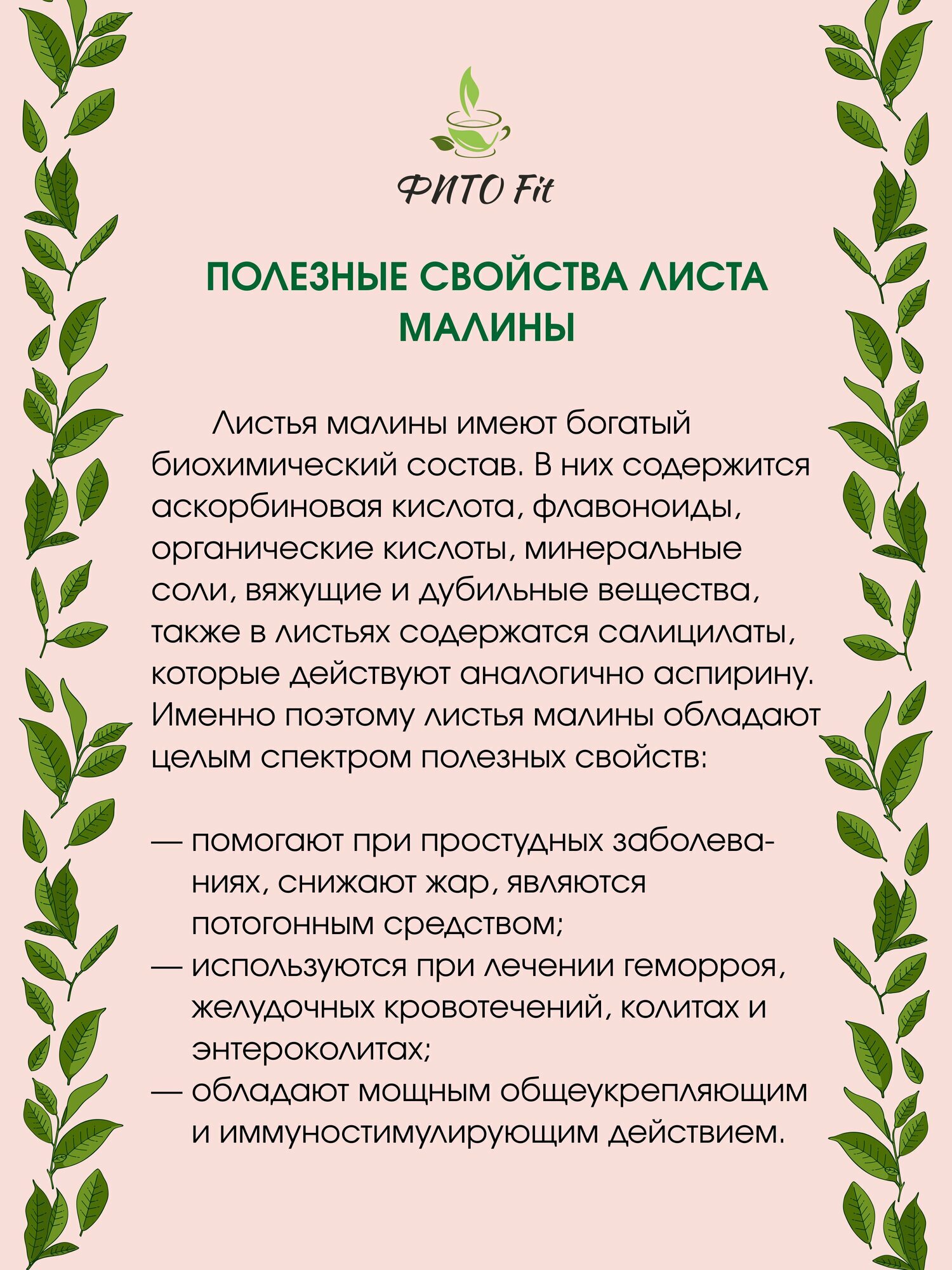 Лист малины 500 г - натуральный и эффективный способ борьбы с простудными заболеваниями — фото 1