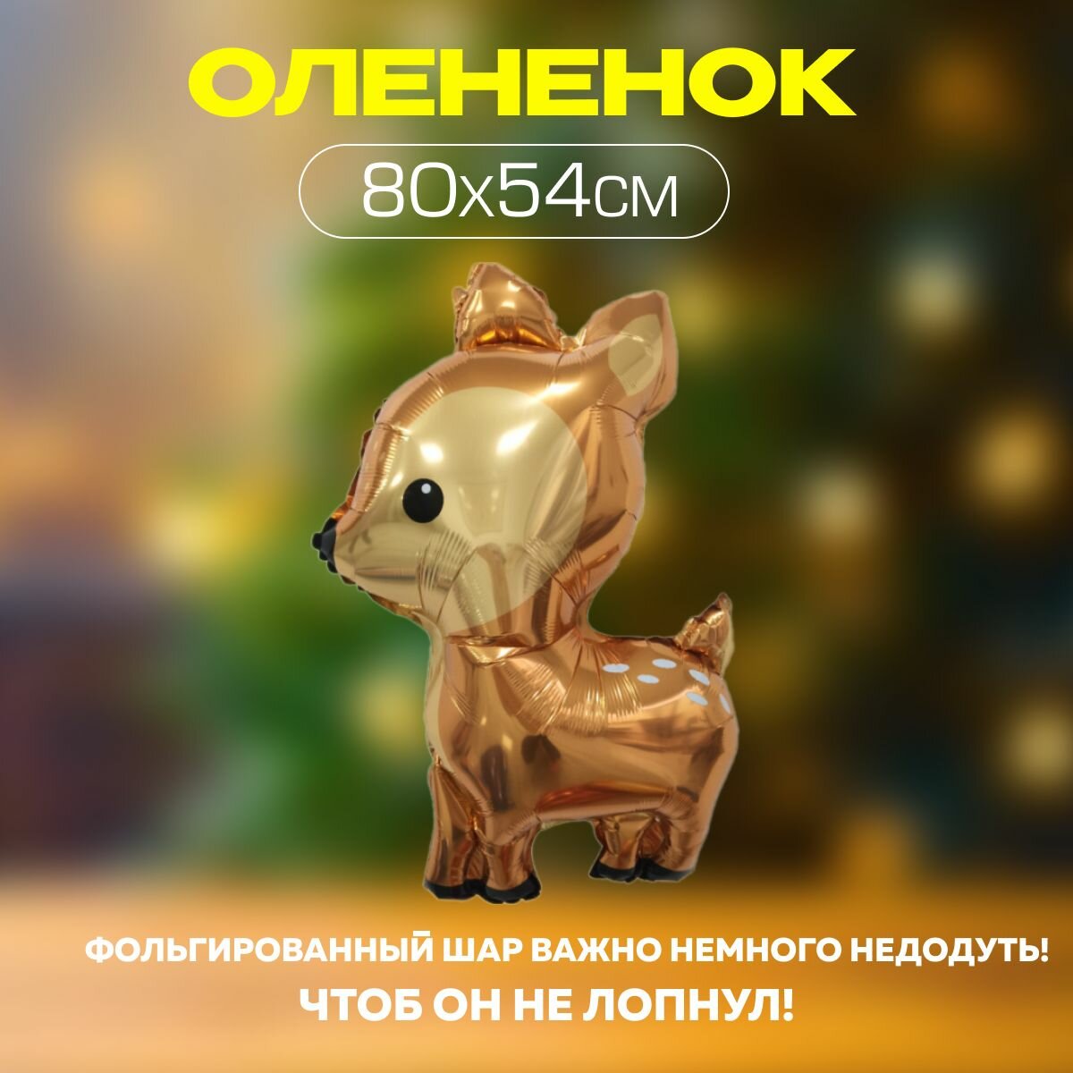Воздушный шар — фото 1