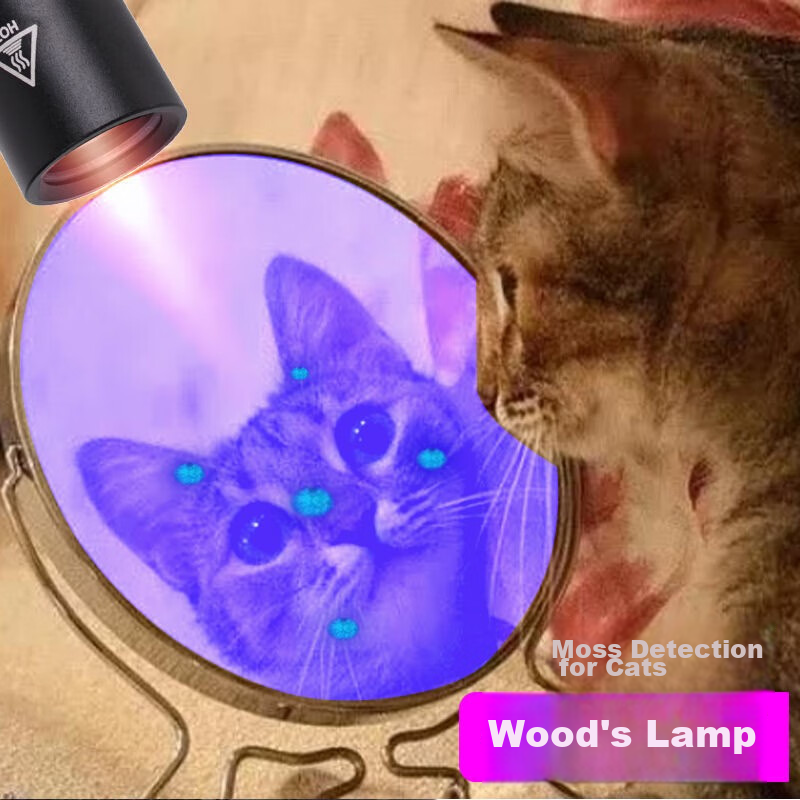 Shenyu Wodeshi Lamp, Cat Ringworm Lamp, Dog Ringworm Pet Fungal Detection, Currency Inspection Lamp, UV Light, Flashlight, V7