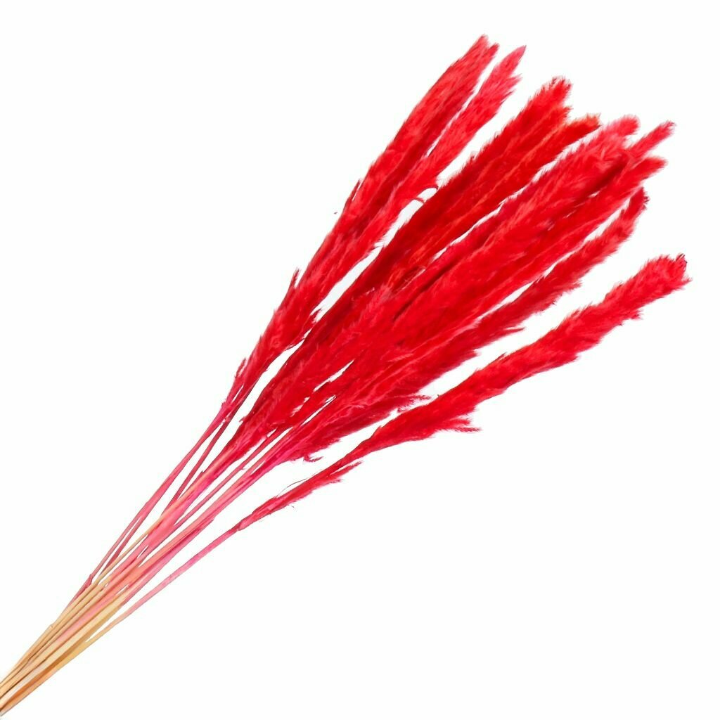 Цветок искусственный декоративный сухоцвет, 60 см, красный, для дома, Y6-10397