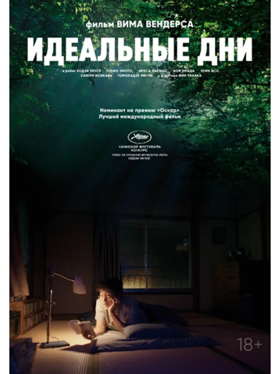 Идеальные дни (2023), кино на USB флешке.