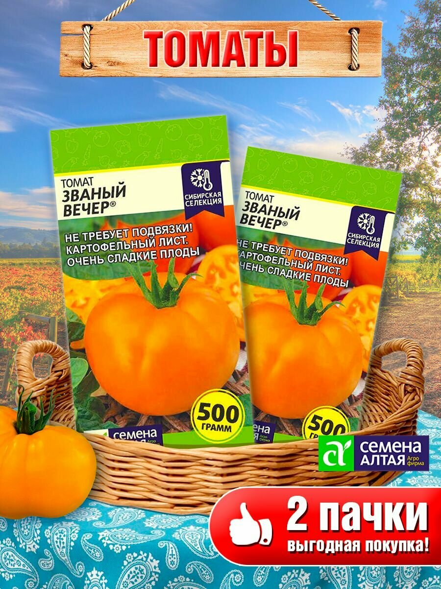 Семена томата Званый вечер от компании Семена Алтая (2 пачки)