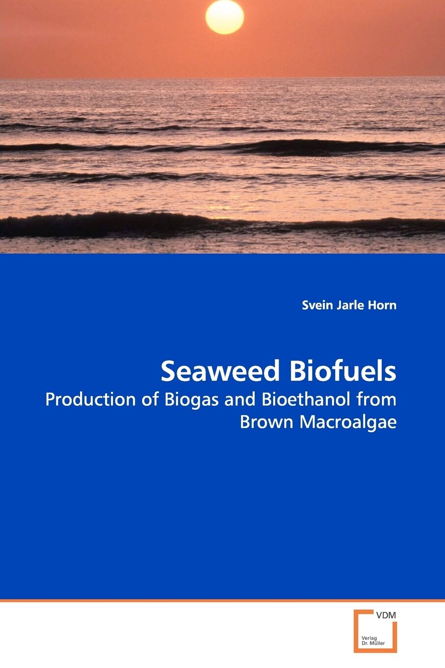 Seaweed Biofuels — фото 1