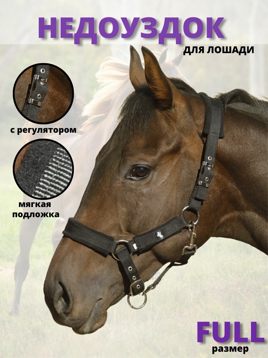 Sweethorse / Недоуздок с регулятором для лошади, Full, черный