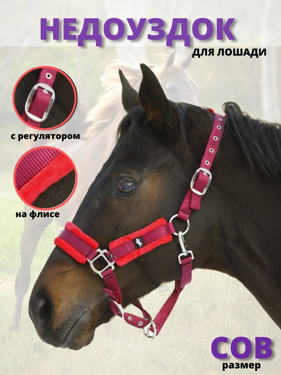Sweethorse / Недоуздок для лощадей на флисе , Cob , красный.