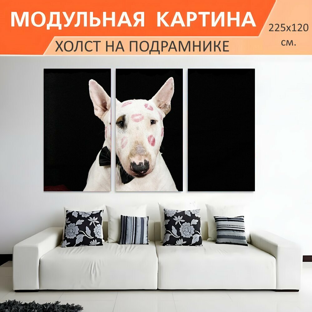 Модульная картина на холсте "Бультерьер, поцелуи, собака" триптих на подрамнике 225х120 см. для интерьера