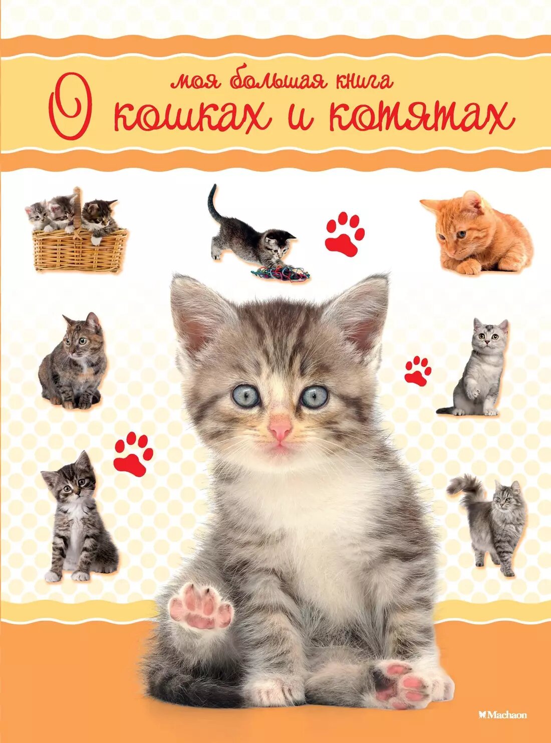 Моя большая книга о кошках и котятах (Наталья Куйе)