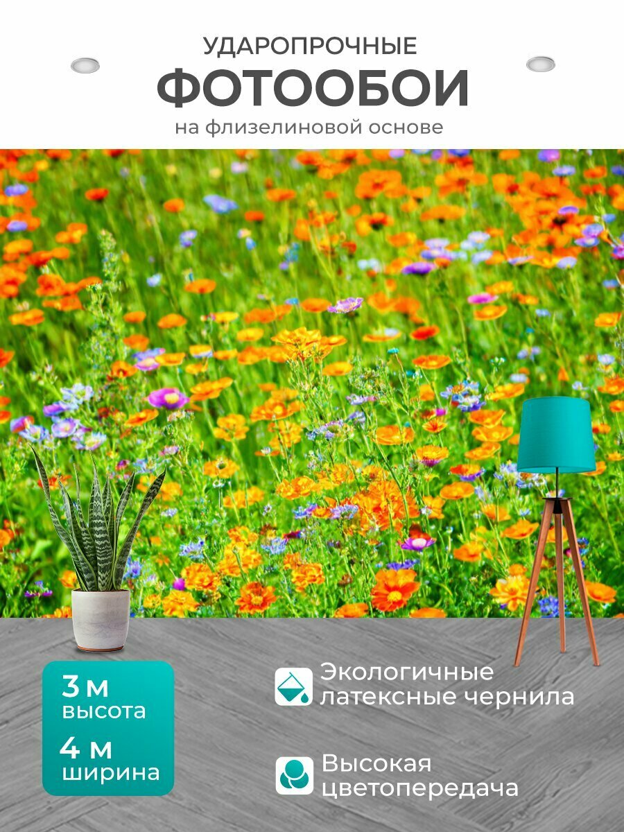 Фотообои моющиеся ударопрочные на кухню "С яркими летними полевыми цветами, придает свежесть и радость" 400x300 см. флизелиновые на стену