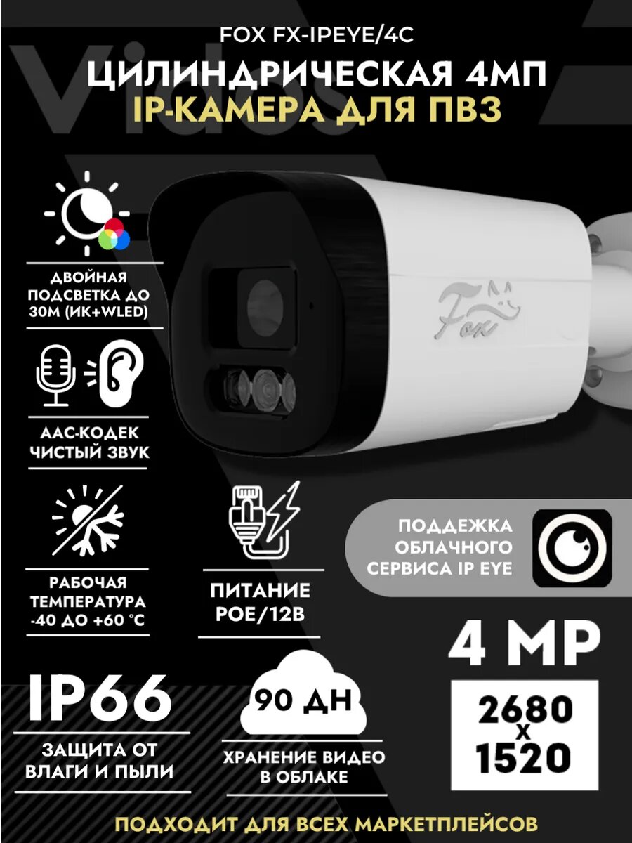 IP-камера Fox FX-IPEYE/4C, с микрофоном, поддержка облачного сервиса