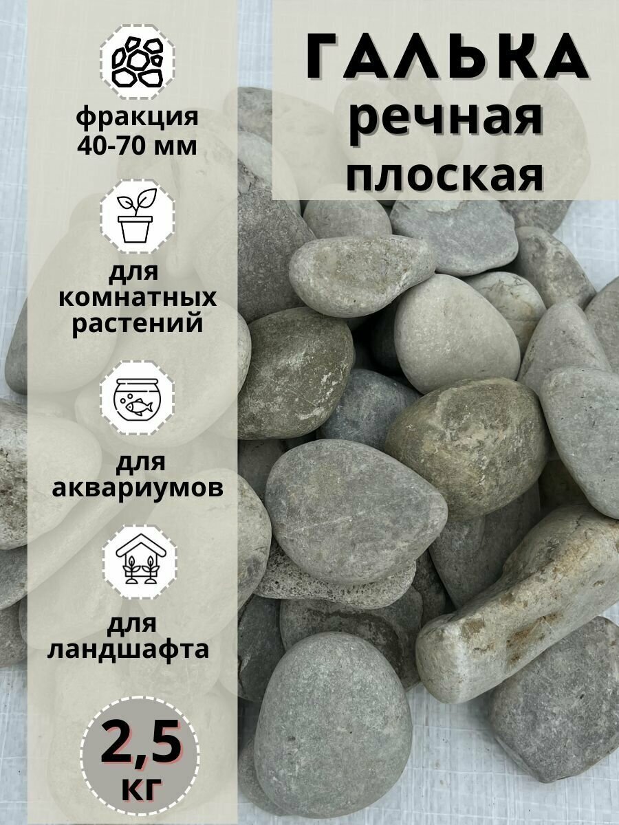 Галька речная светлая плоская 40-70 мм (2.5кг) для комнатных и садовых растений