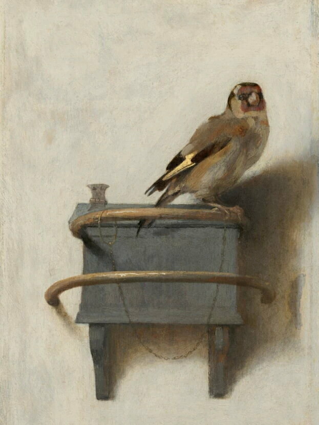 Плакат, постер Carel Fabritius, Карел Фабрициус-Щегол на холсте, размер 60х84см
