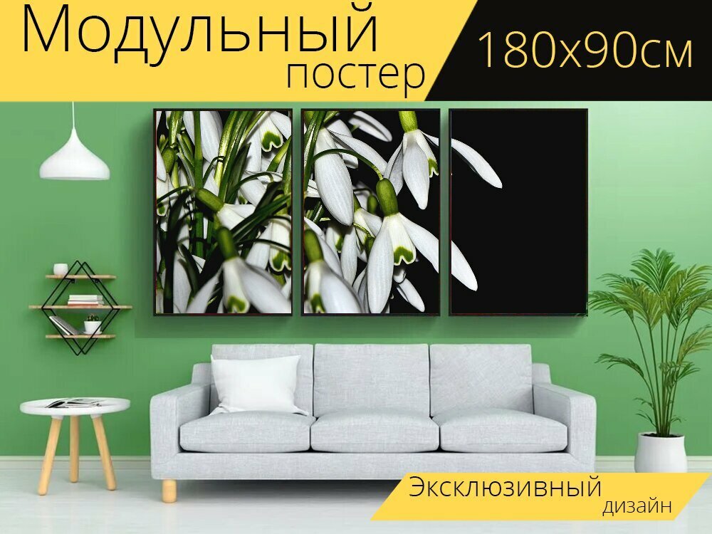 Модульный постер "Ландыш, весна, белый" 180 x 90 см. для интерьера