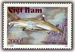 (1991-039) Марка Вьетнам "Рифовая акула" Акулы III