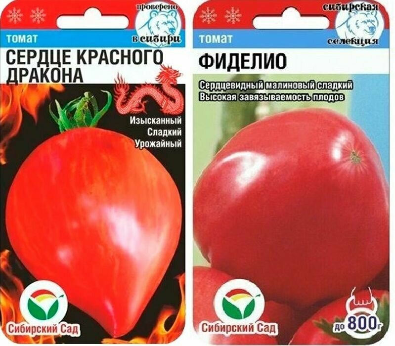 Набор №16 семена кистевых крупноплодных томатов для теплиц Сибирской коллекции : Сердце Красного Дракона, Фиделио (2 упаковки *20 семян)