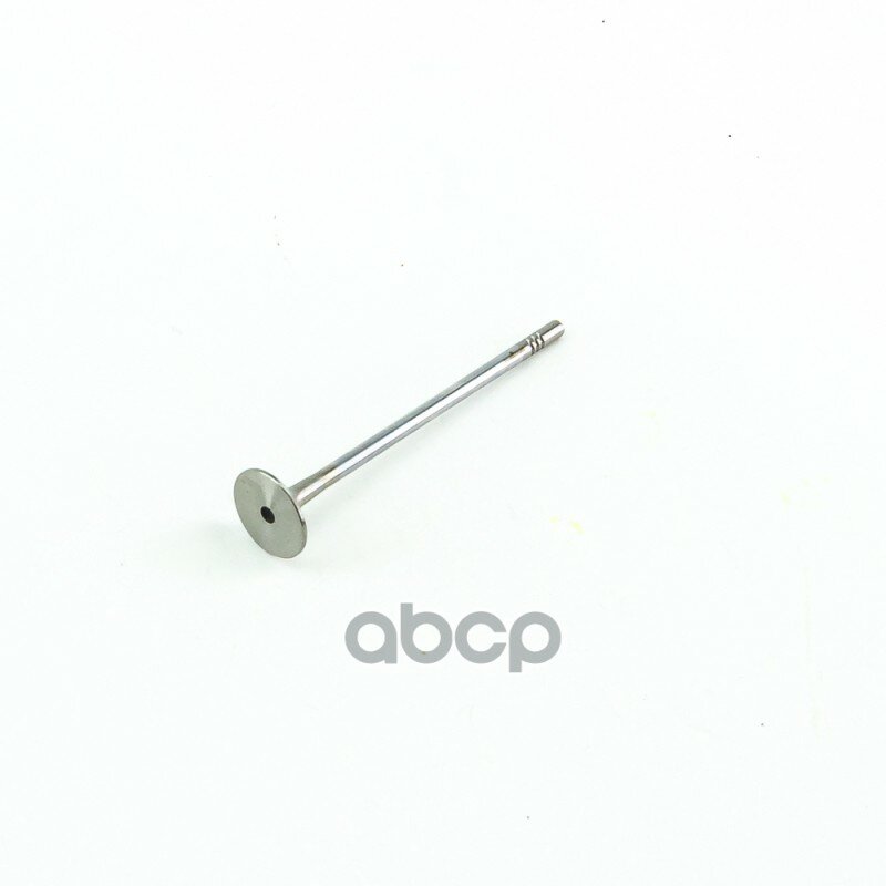 Клапан выпускной, AW0760300008 DOMINANT арт. AW0760300008