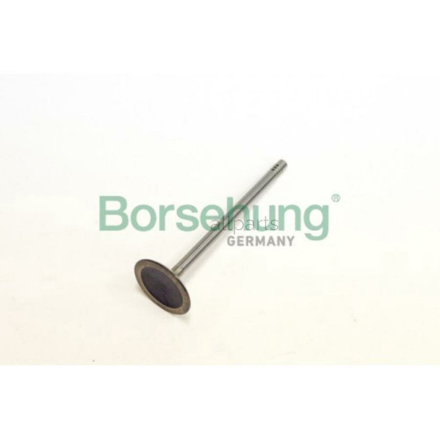 BORSEHUNG B19028 клапан впускной! 33.85x6x104\ Audi A3 2.0 AXW 03>