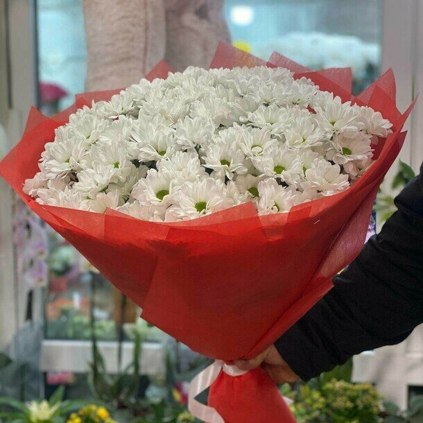 Букет Well Flowers, монобукет, хризантемы, 19 шт, букет свежих цветов