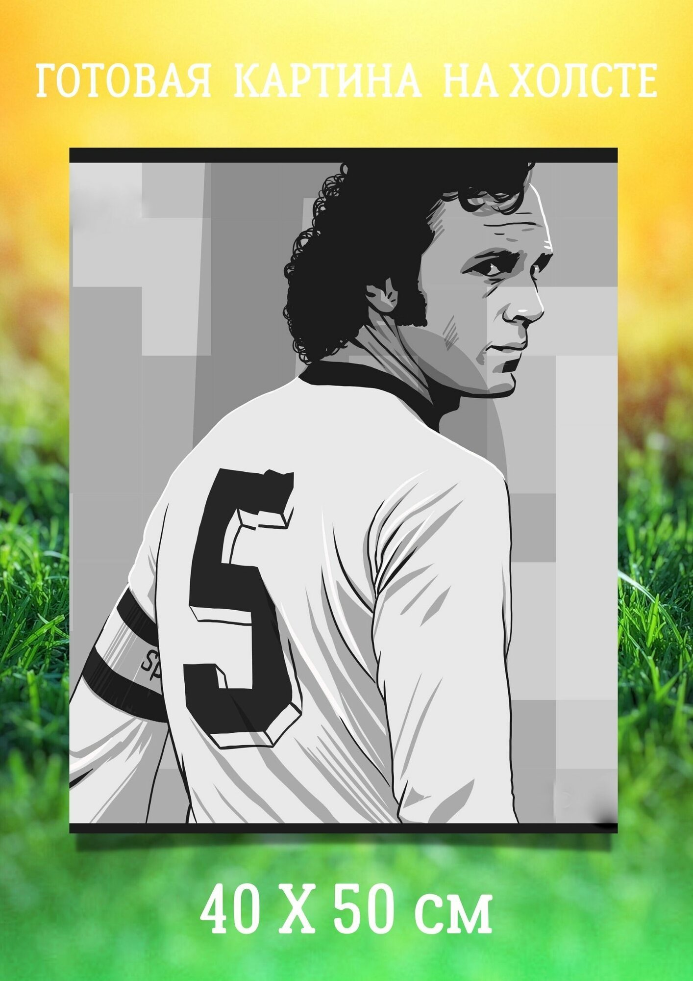 Картина интерьерная "Франц Беккенбауэр" Franz Beckenbauer