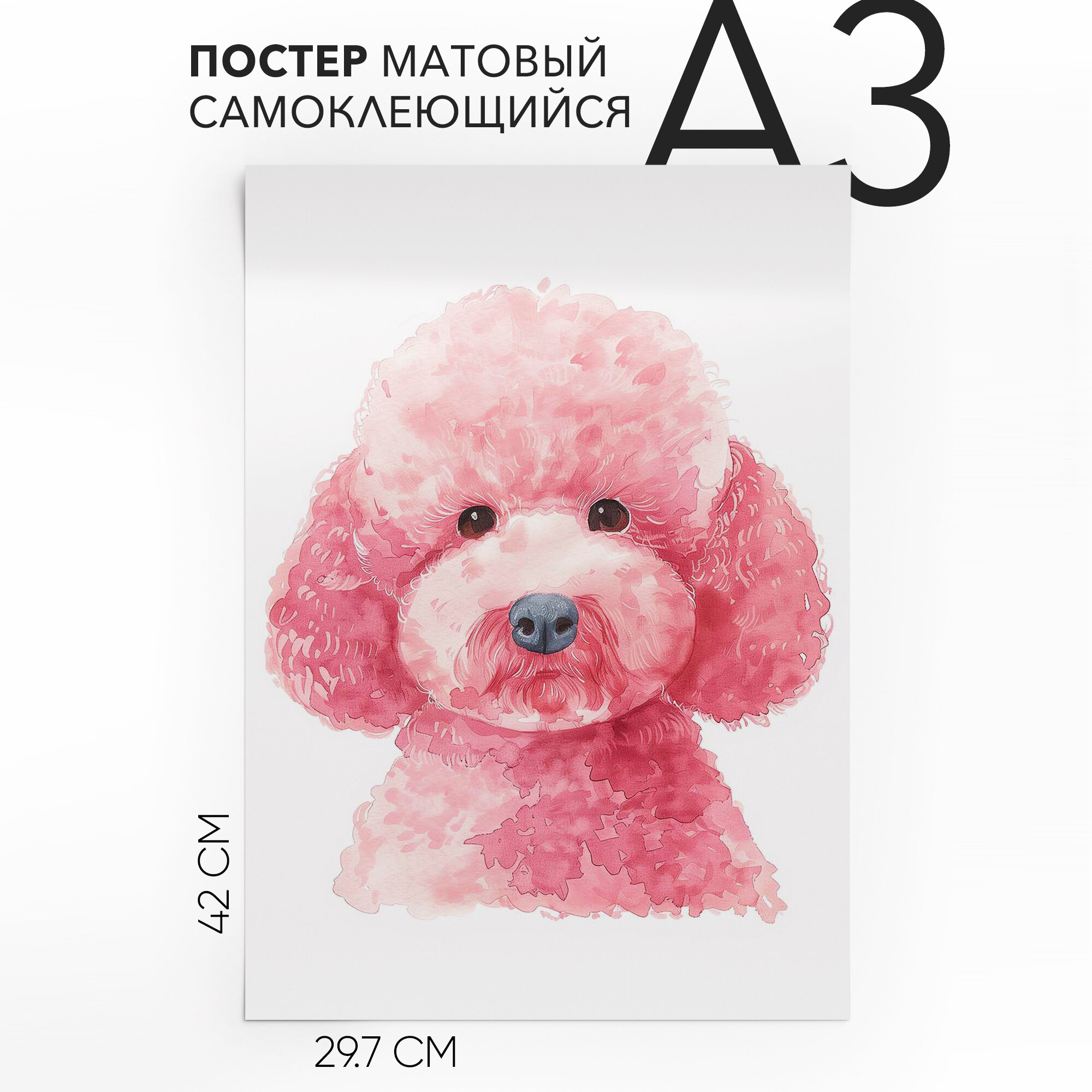 Постеры на стену, детский самоклеящийся A3 Пудель, влагостойкий, для декора