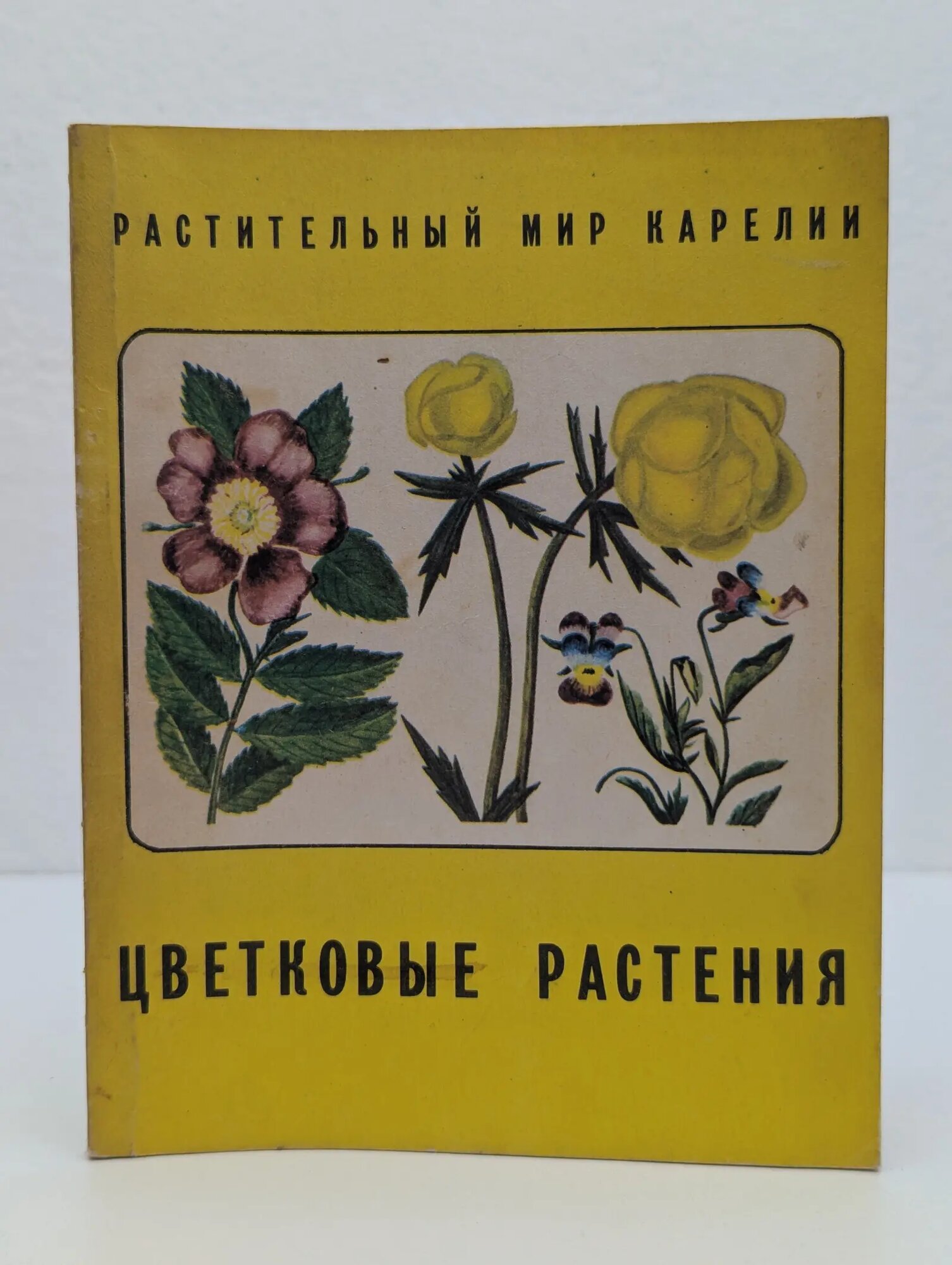Цветковые растения Сборник 1983