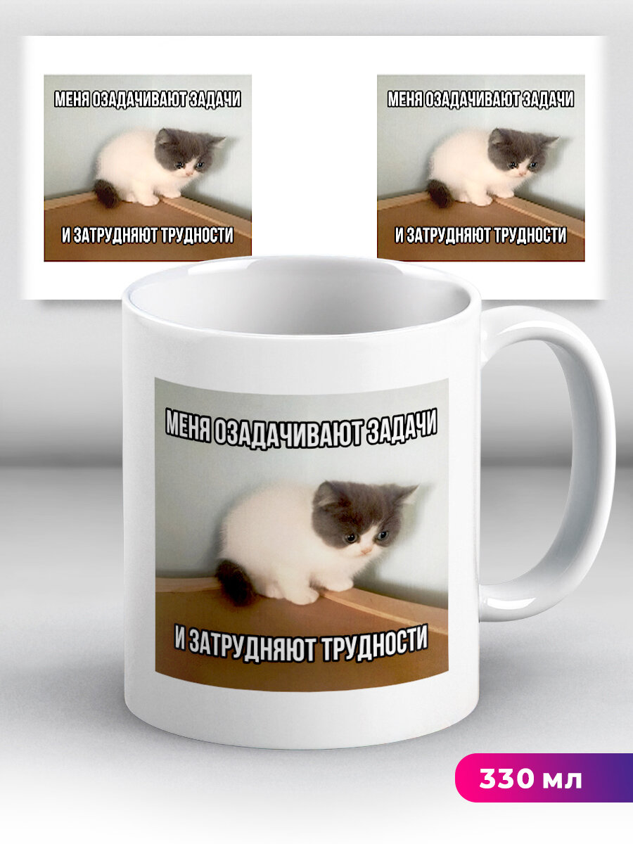 Кружка с приколом мем котик Меня озадачивают задачи
