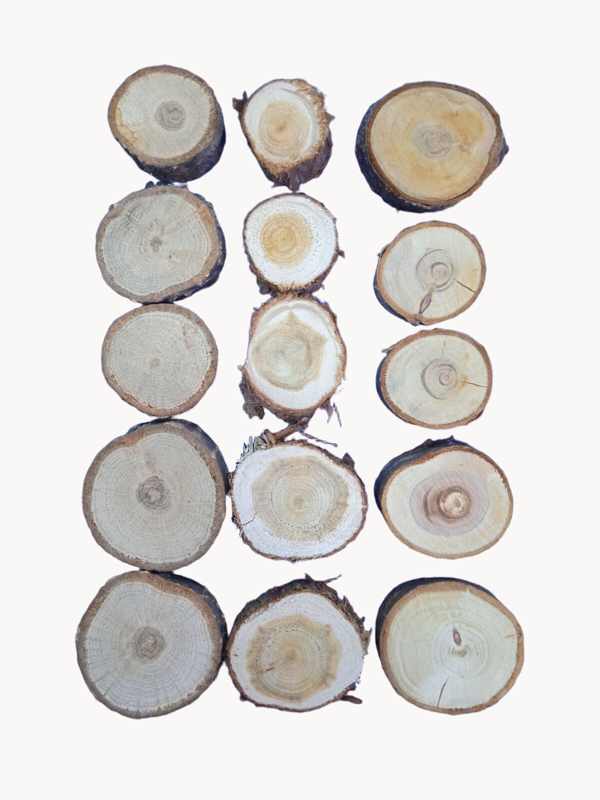 Спилы Nika_G, дуб/можжевельник/вишня, диаметр 3-5см, толщина 1см, упаковка 15шт