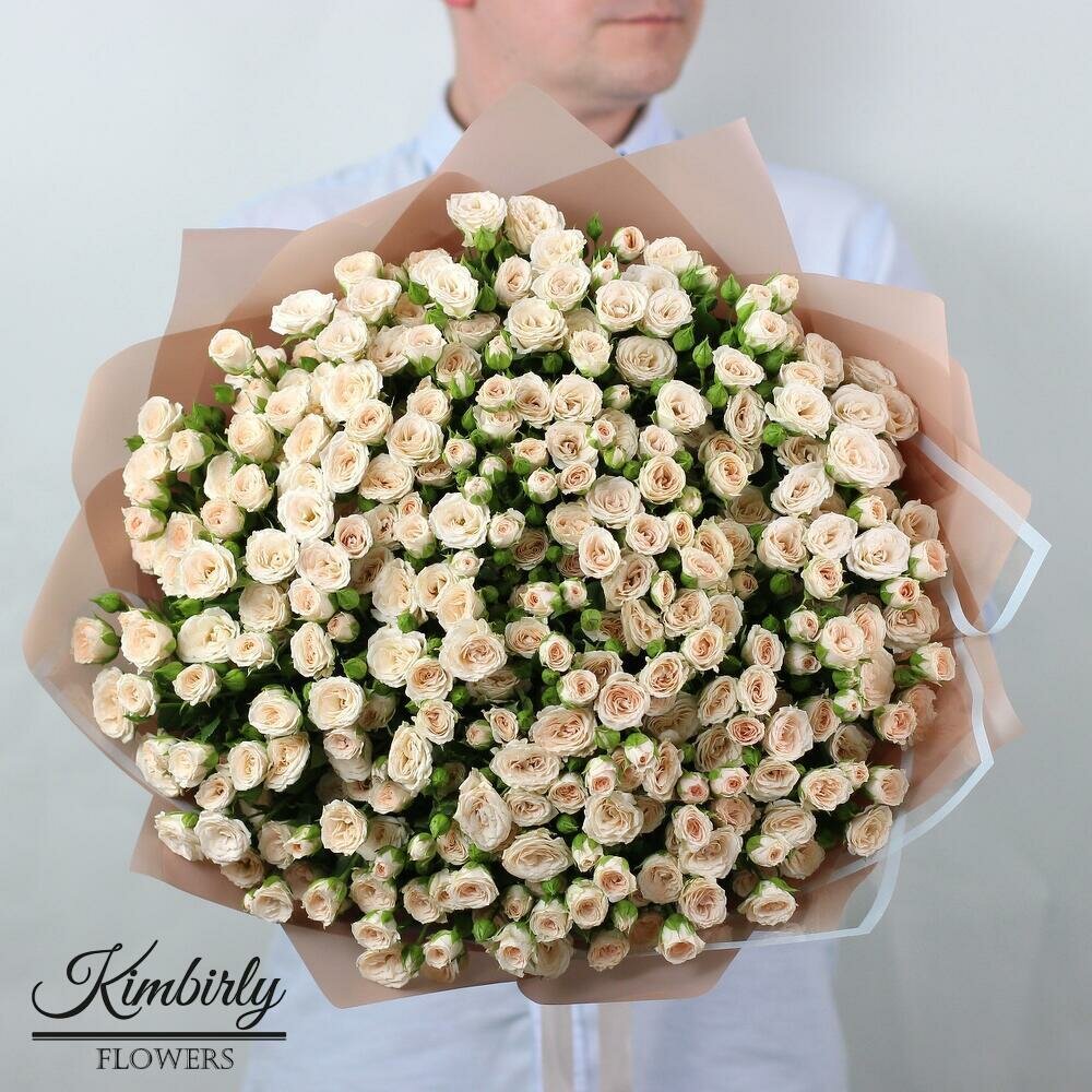 Большой букет живых цветов из кустовых маленьких роз, 51 шт, цвет кремовый, нежный, роза Рослин арт 367