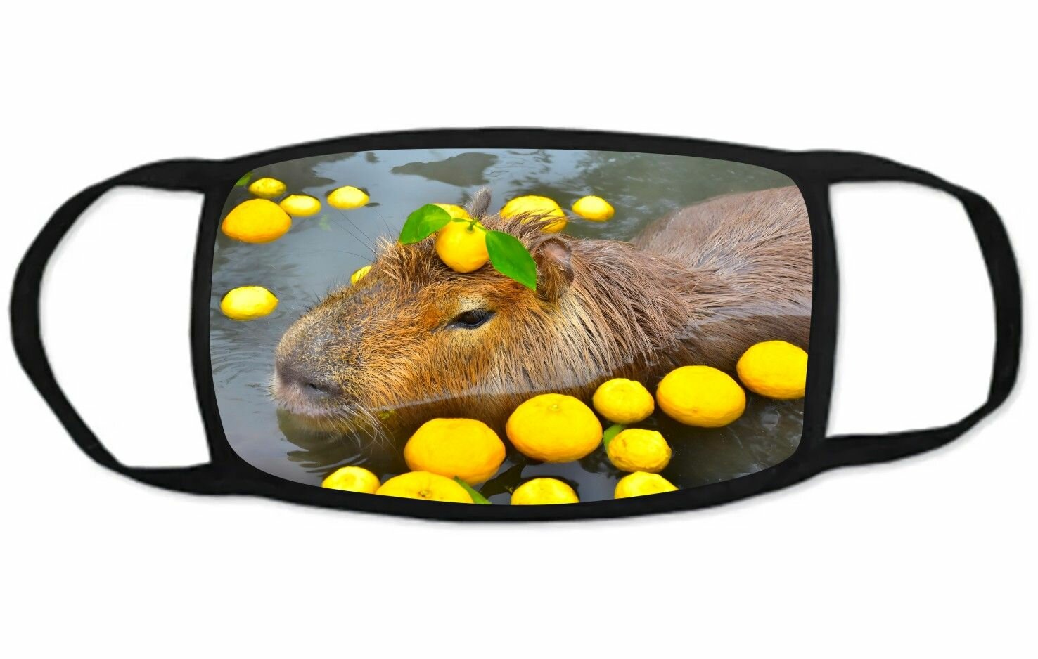 Стильная многоразовая маска MIGOM размер 12,5*20 "Capybara v2, Капибара" - v0002