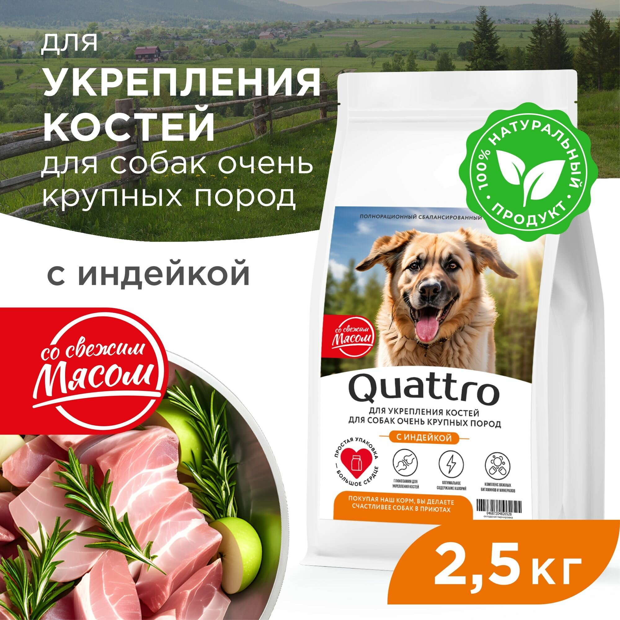 Корм сухой для взрослых собак очень крупных пород, премиум полнорационный комплекс, для укрепления костей у собак, с индейкой, 2,5 кг, QUATTRO