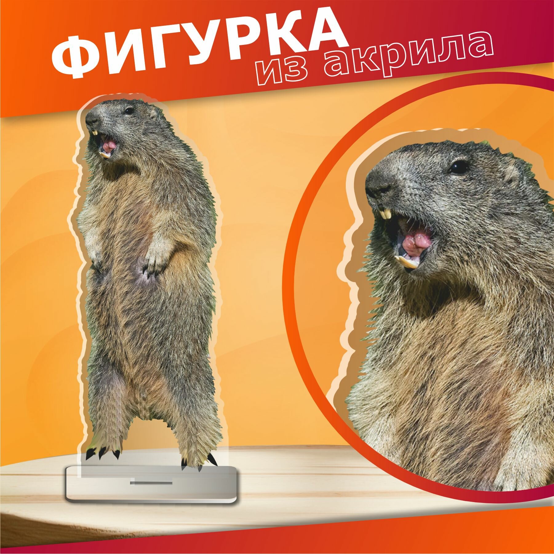 Акриловая фигурка Кот мем статуэтка для интерьера