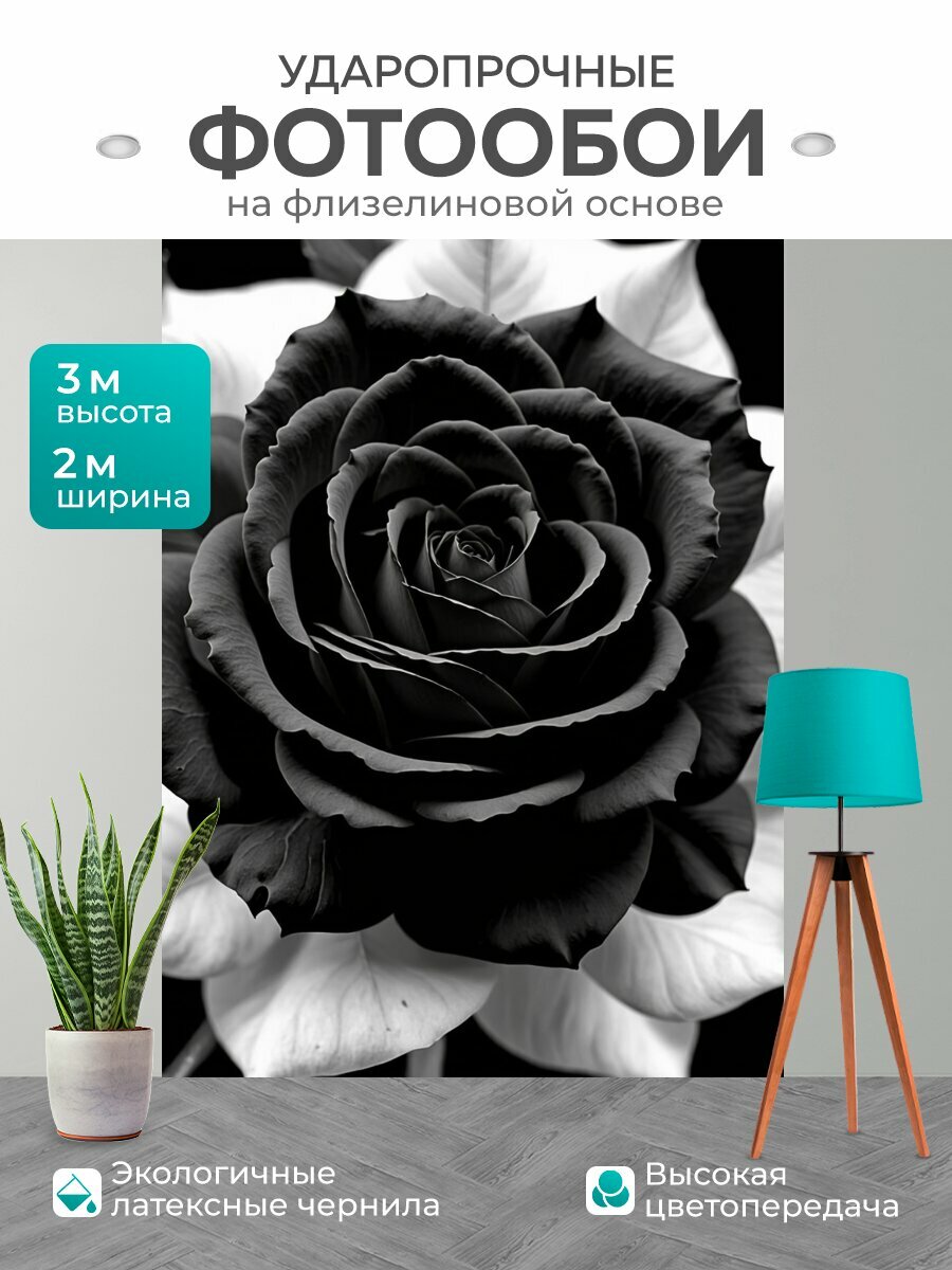 Фотообои моющиеся ударопрочные "Розы в стиле ретро, с изысканными дизайнами, включающими черно-белые фотографии и цветные акценты, создающими эффект" 200x300 см. флизелиновые на стену