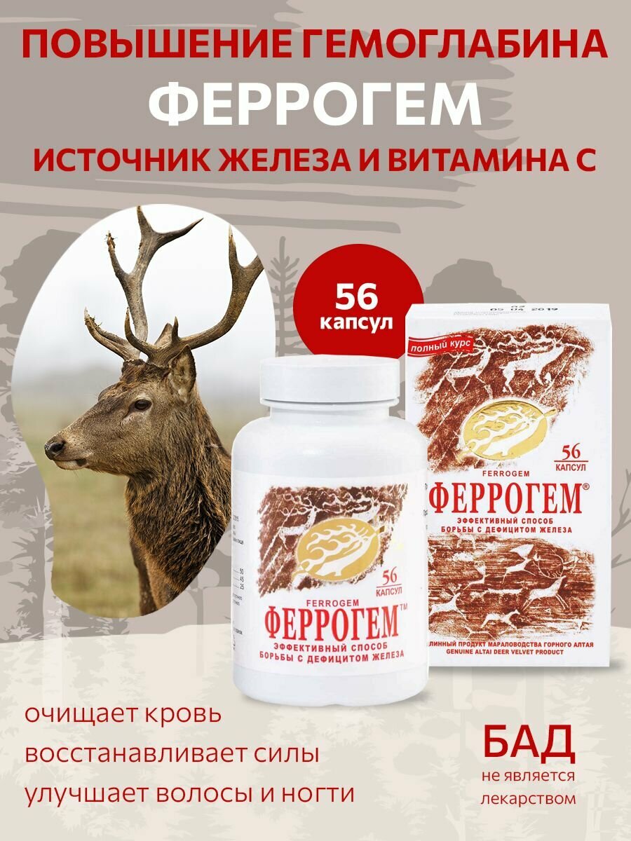 Феррогем № 56 Полный курс Пантопроект 56 гр