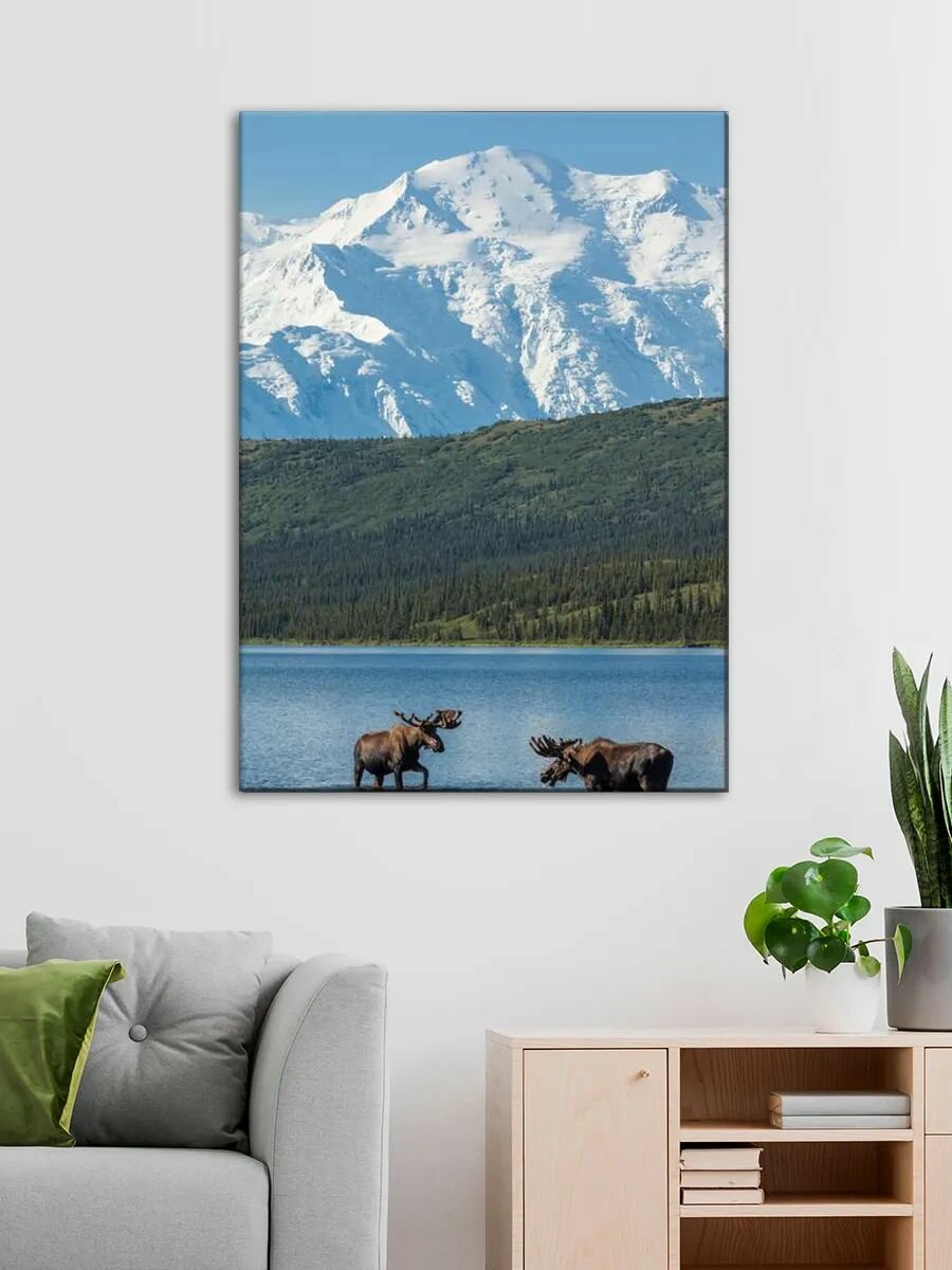 Картина на стену "Дикие животные", 50х70 см