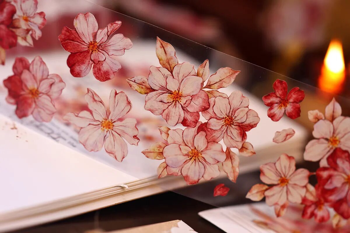 Xiao Bai Jia коллекция изоленты 2025 pet 120cm