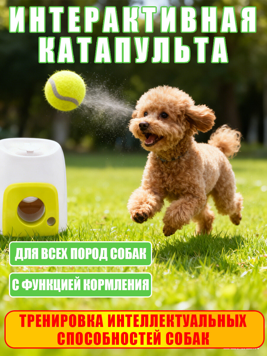 Катапульта мячей для собак интерактивная OZBERRY с 3 мячами