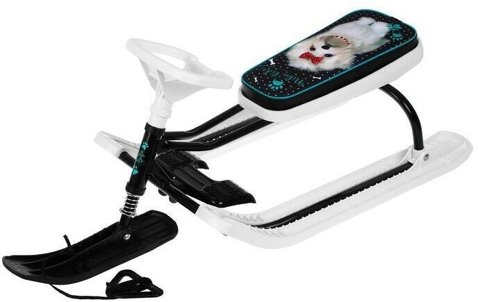 Снегокат Тимка Спорт 2 Болонка , фасовка 1 шт.