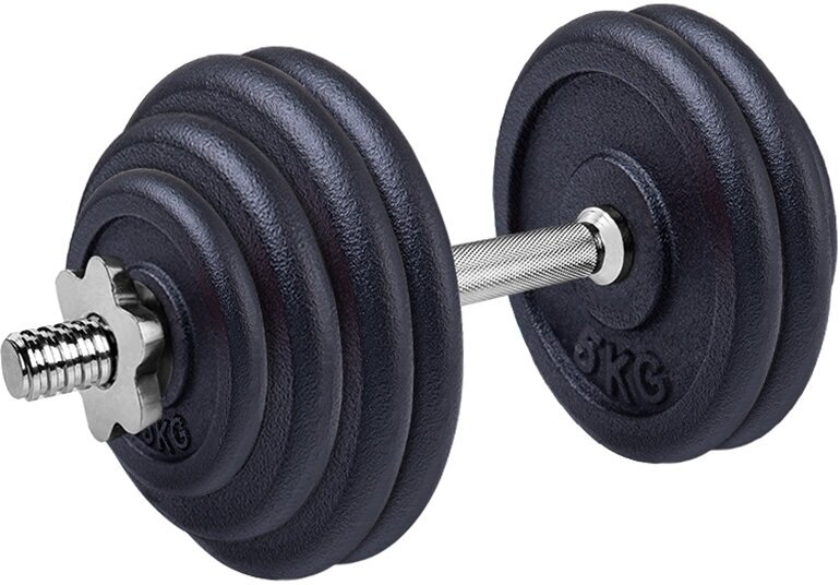 Гантель разборная чугунная 29,5 кг Voitto - d26, Комплектация №1 с железной ручкой