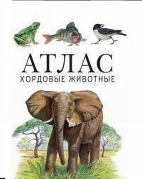Хордовые животные : атлас.