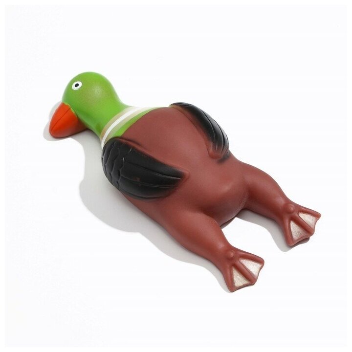 Игрушка пищащая "Скромная утка" для собак, 18 х 7 х 4 см, коричневая, 7159748