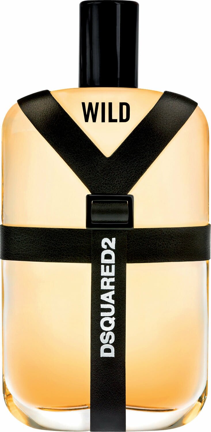 Dsquared2 Wild туалетная вода 100мл