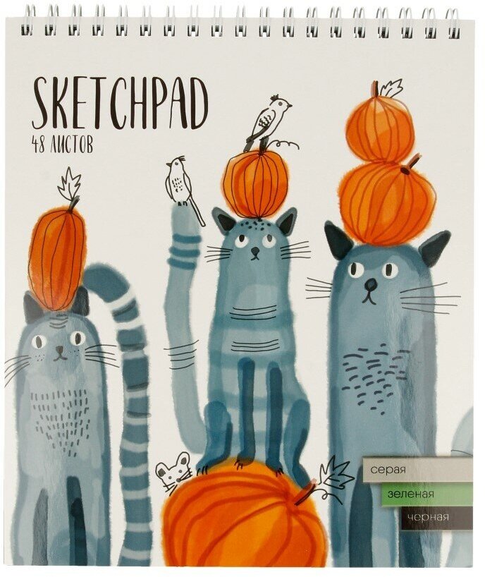Феникс Скетчпад Коты 120 г/м2 17 × 20 см на гребне 48 листов архивного формата 51528