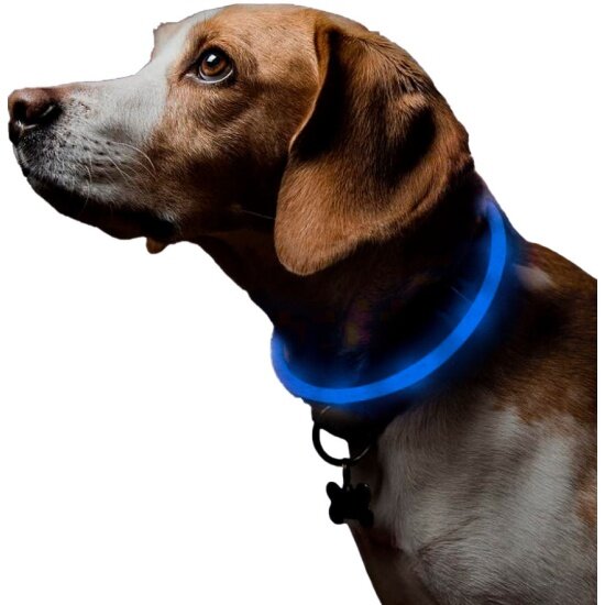 Ошейник Zoowell petqqLEDS LED светящийся, сплошной синий свет, 40см