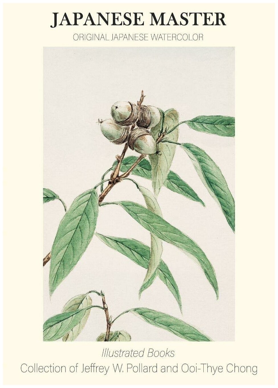 Постер / Плакат / Картина Японская живопись - Ветка дуба 50х70 см в подарочном тубусе