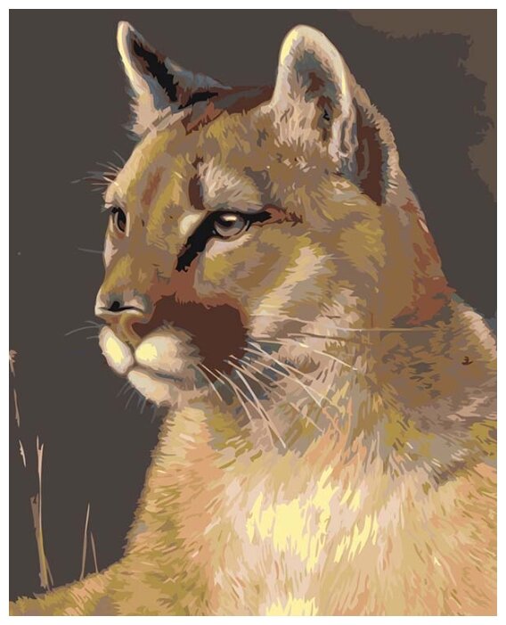 Картина по номерам ЖПН на холсте с подрамником "Пума", Раскраска 40х50 см, Пума Животные Хищник